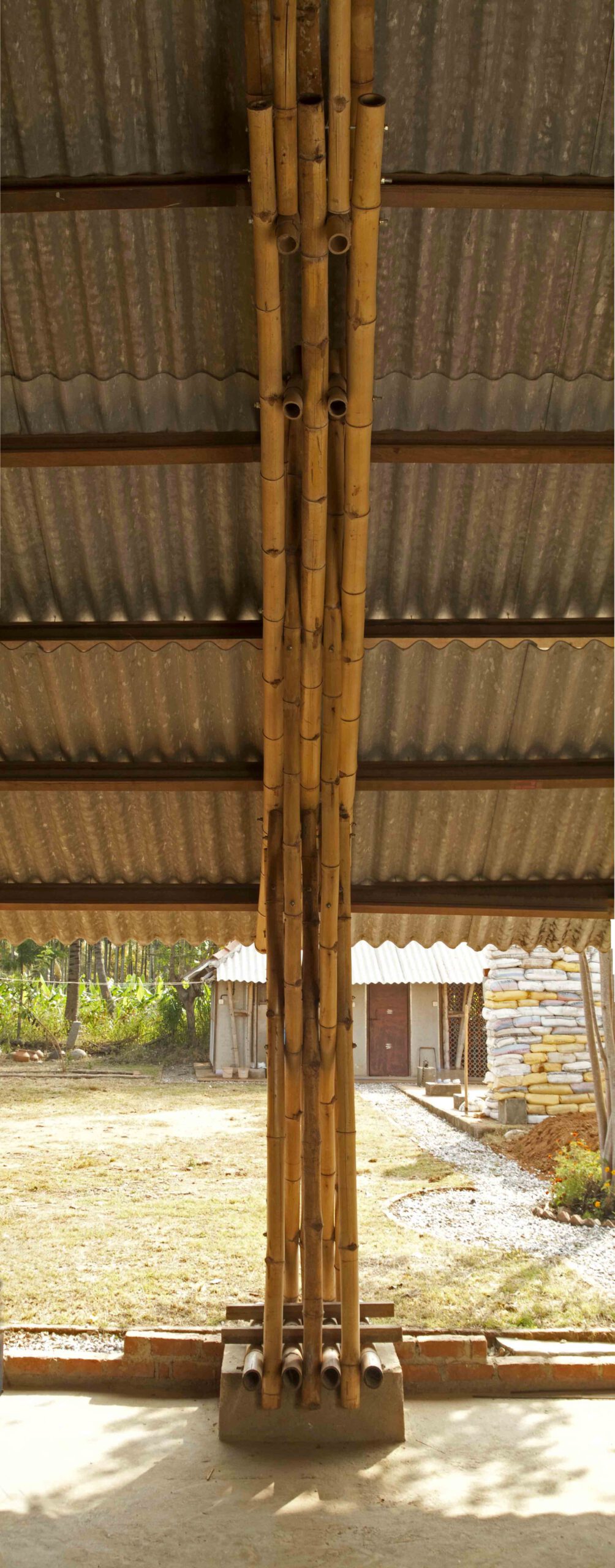 BAMBOOQUEST – bambooquest.org